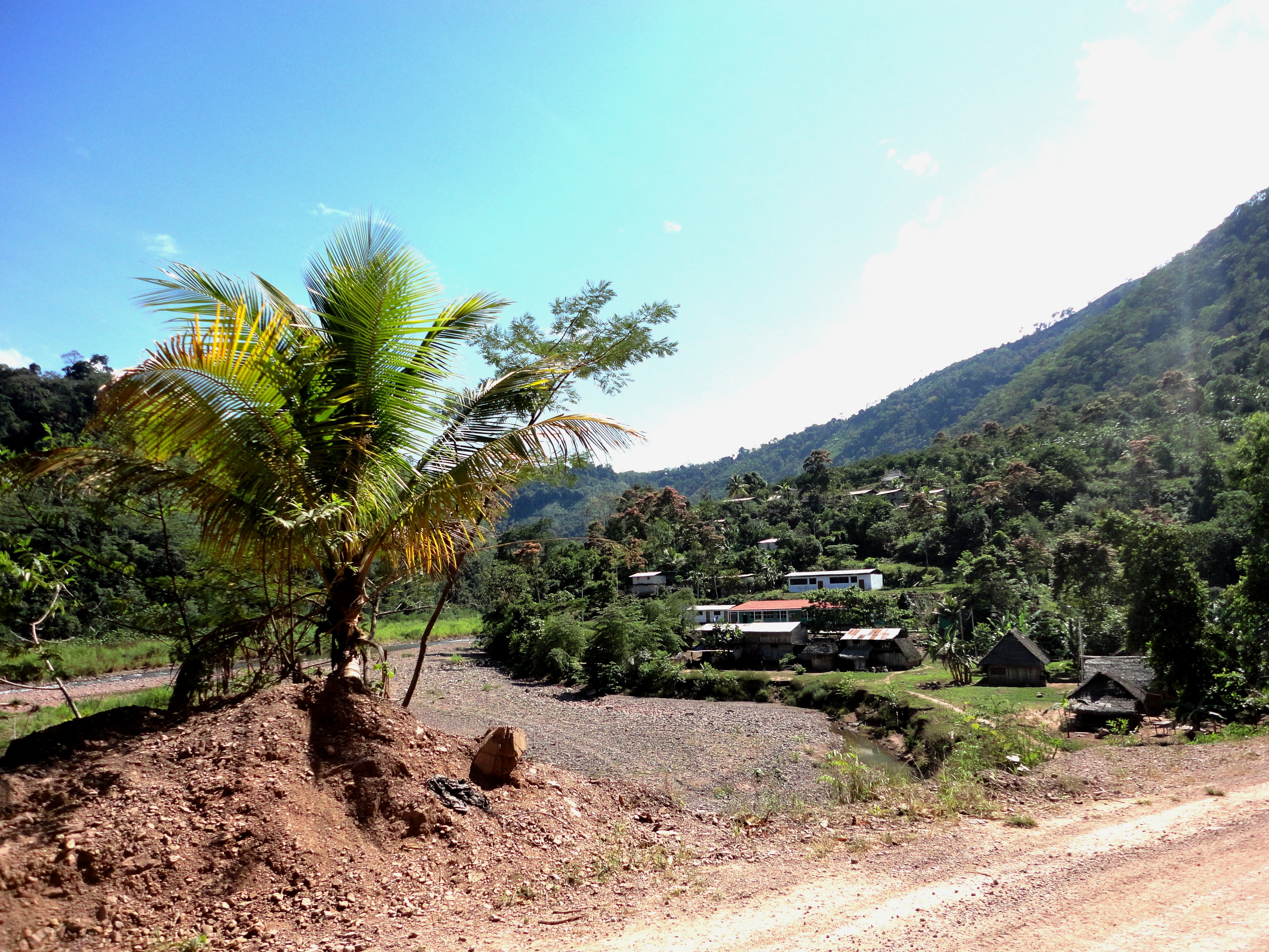 Foto: PAISAJE DE LA SELVA ALTA PERUANA - Chanchamayo (Junín), Perú