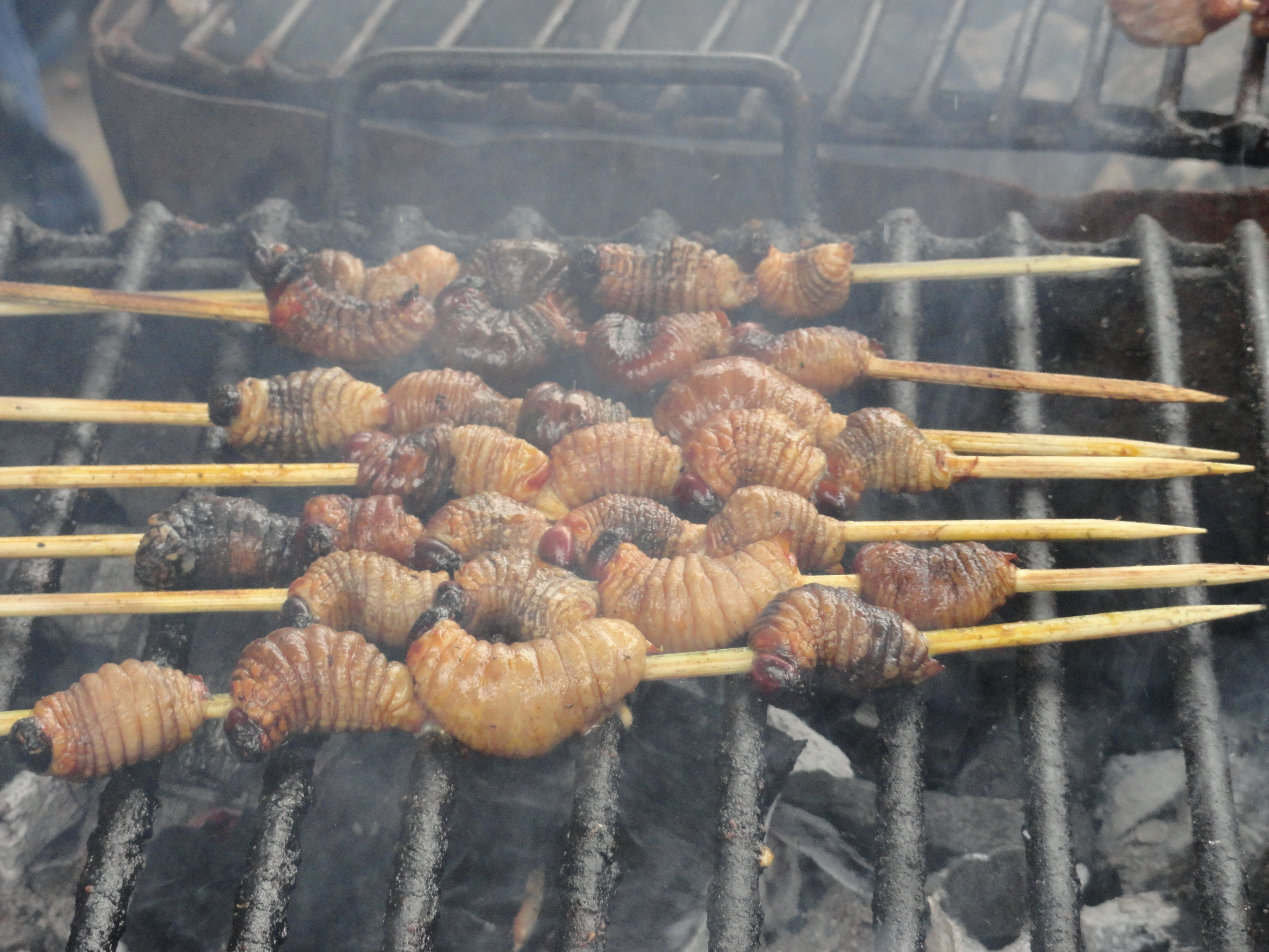 Foto: Chontacuros asados - El Coca (Orellana), Ecuador
