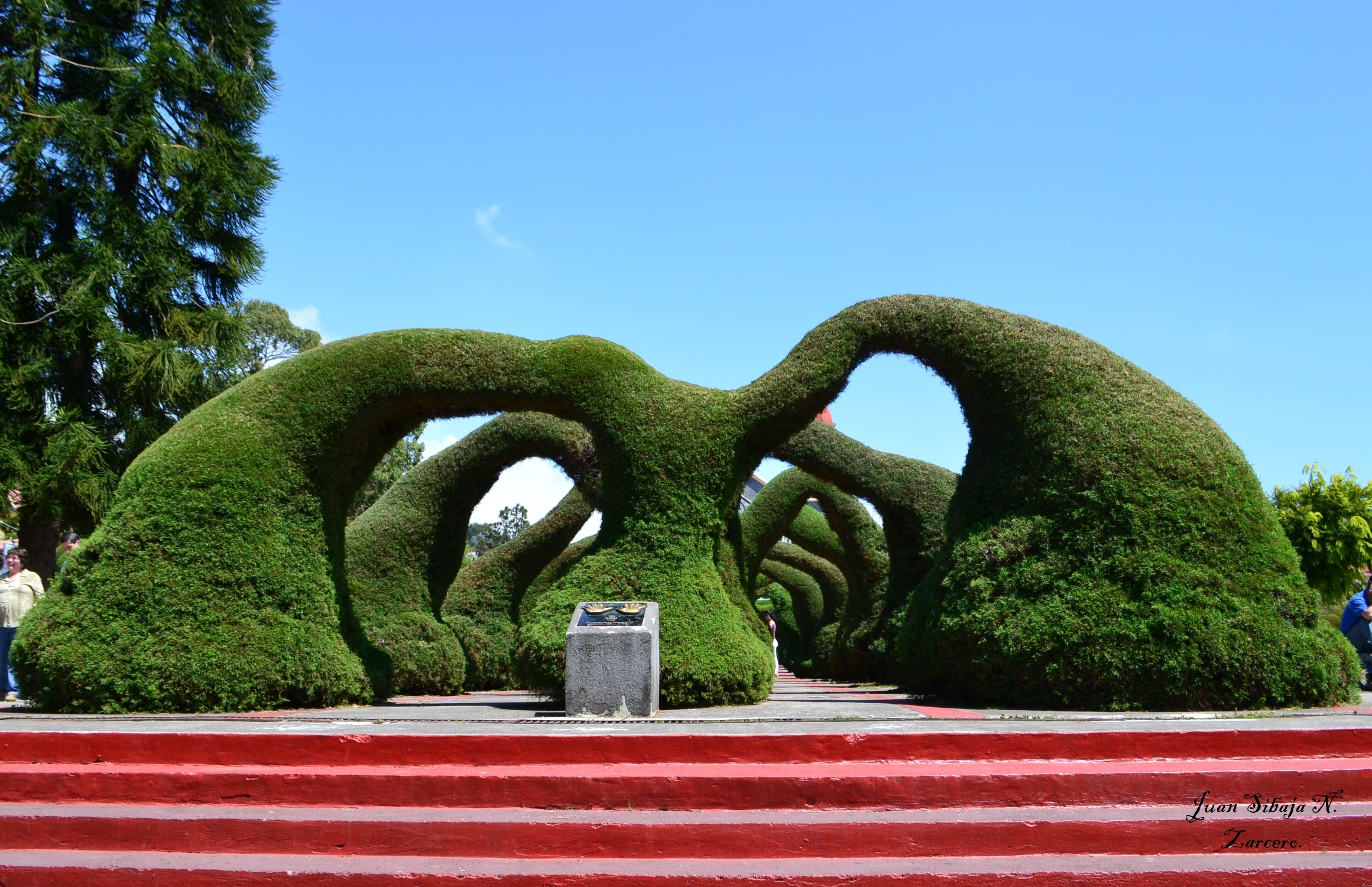 Foto: Parque Central de Zarcero, - Zarcero (Alajuela), Costa Rica