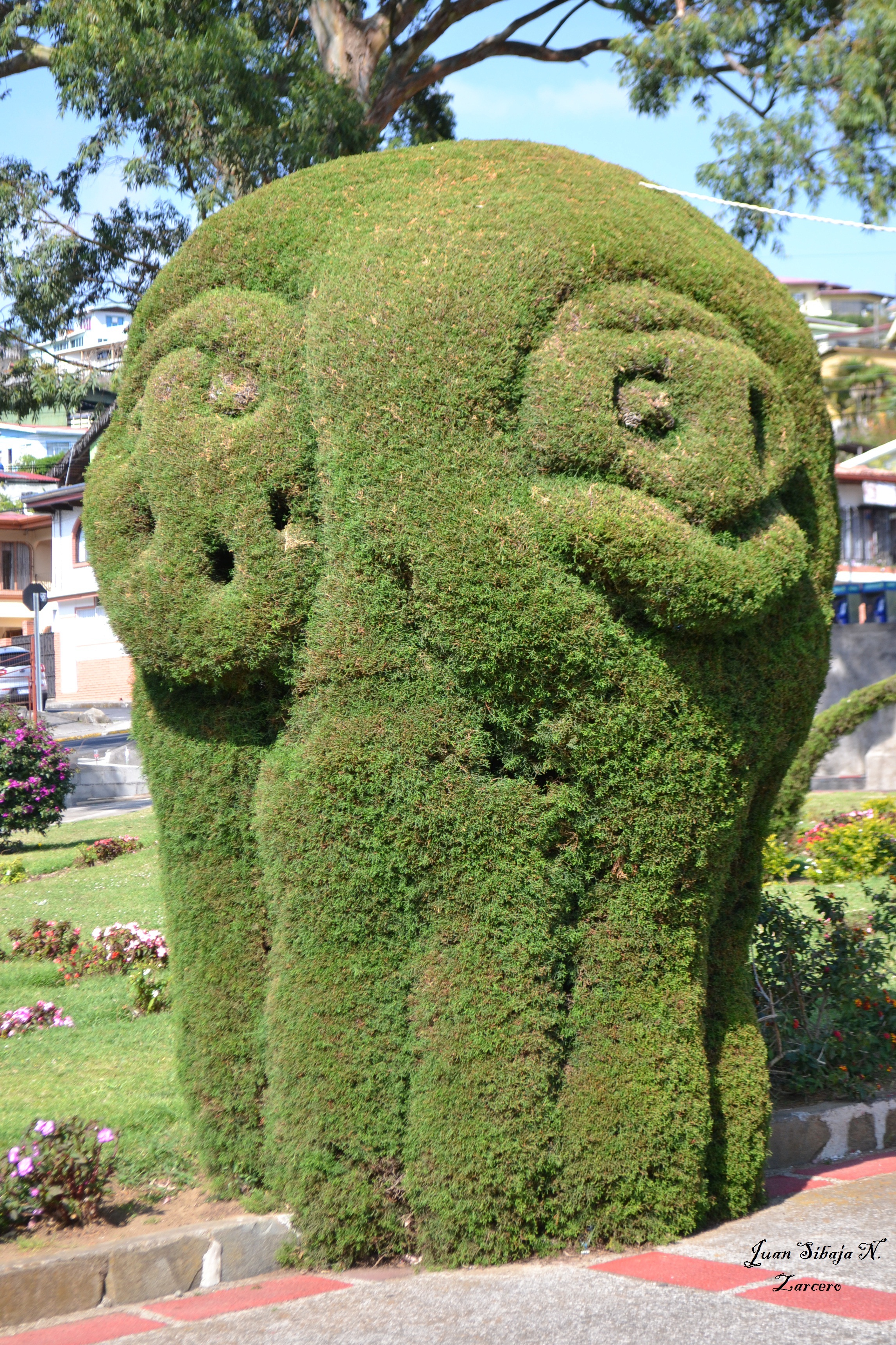 Foto: Parque de Zarcero - Zarcero (Alajuela), Costa Rica