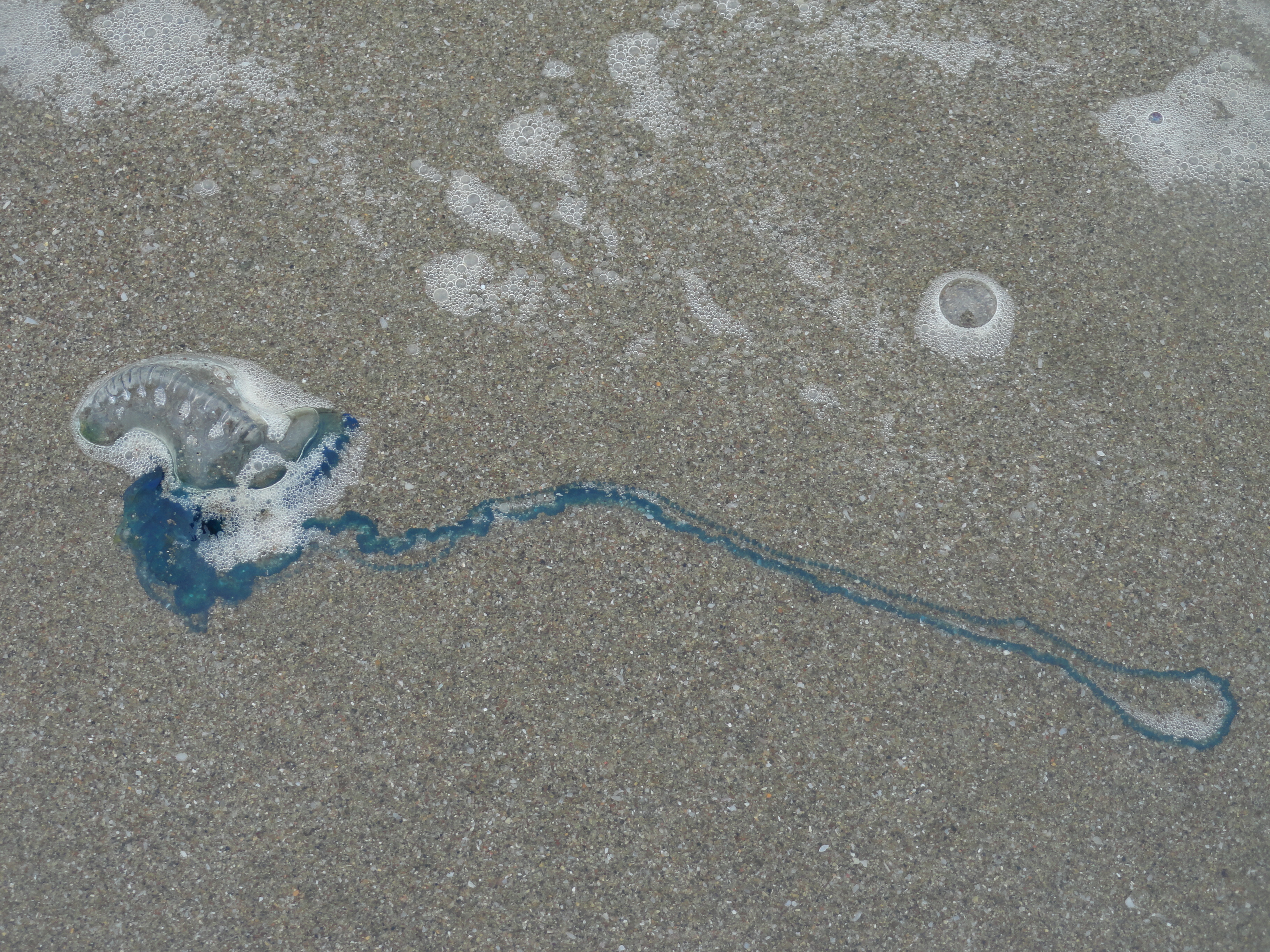 Foto: Agua mala - Crucitas (Manabí), Ecuador