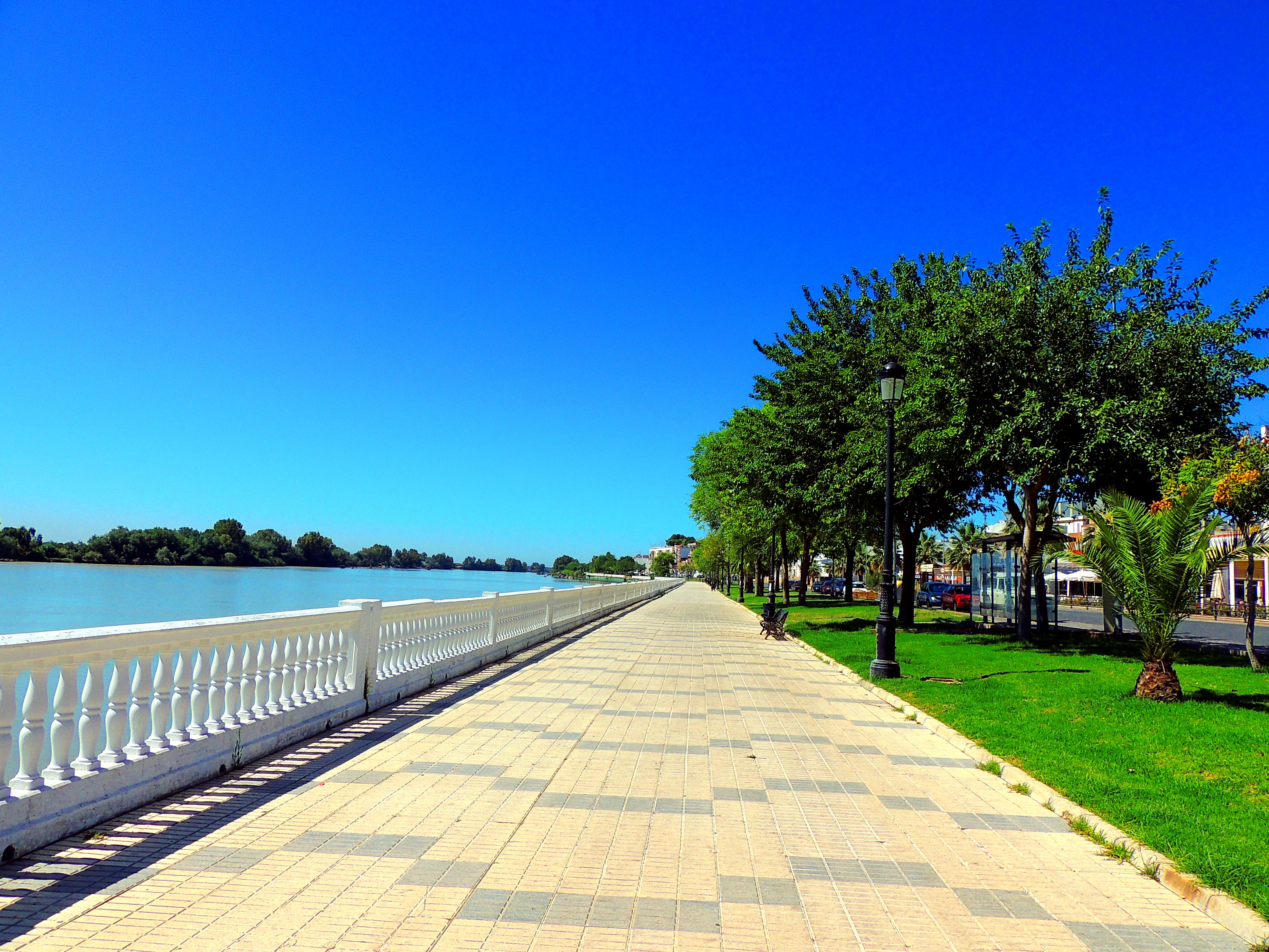 Foto: Paseo Fluvial - Coria del Río (Sevilla), España