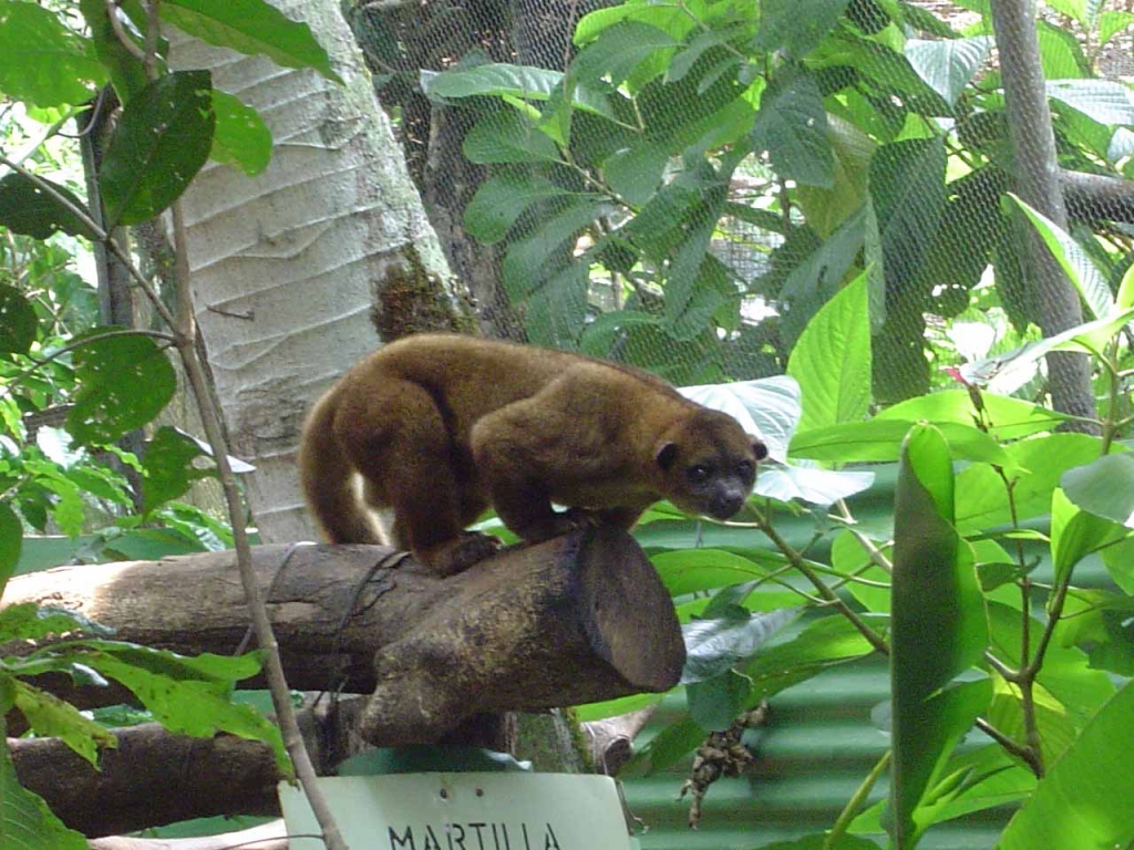 Foto de Alajuela, Costa Rica